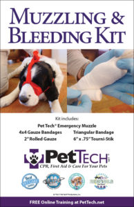 Pet CPR & First Aid Badge Pack