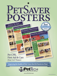 Pet CPR & First Aid Certificates (Pack of 10)